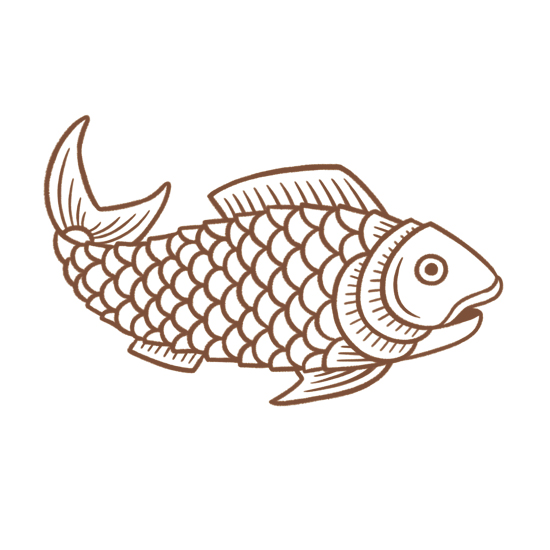 Sól Hrafnsdóttir Illustration